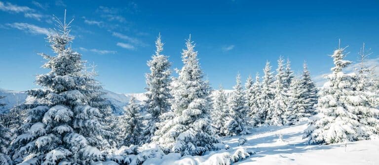 US to Finland Power Adapter: What Plug Do I Need? (2025)